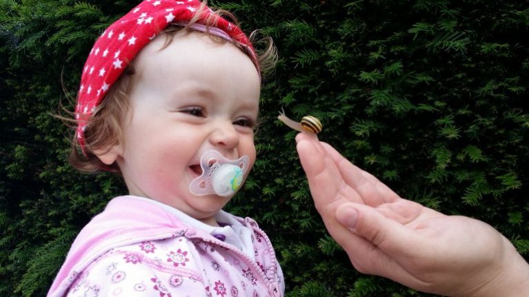 Pacifier Weaning: A How to Guide for Parents - Baby Essentials ...